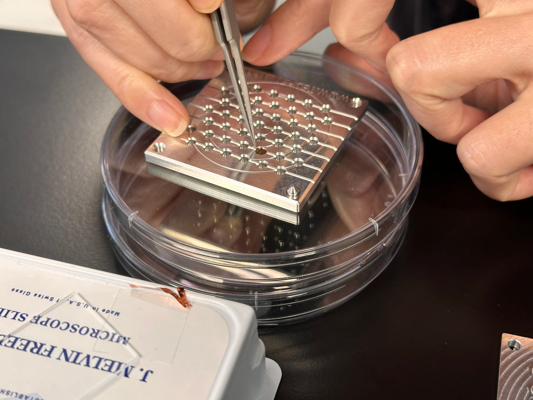 Graphene Grids Fabrication Workshops